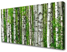 Obraz na plátně Les Rostlina Příroda 140x70 cm