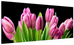 Obraz tulipánů (100x40cm)