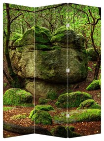 Paraván - Kouzelný les (126x170 cm)