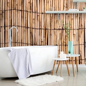 Fototapeta exotický bambus - 450x300 cm