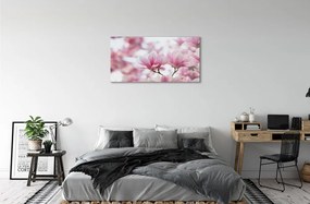 Obraz na skle magnolie strom 120x60 cm