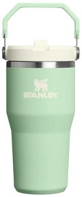 Šalvějově zelená termoska z nerezové oceli 600 ml IceFlow™ Flip Straw 2.0 Tumbler Pistachio – Stanley