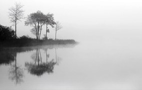 Obraz na plátně By the Lake I