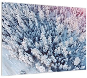 Skleněný obraz zasněžených stromů (70x50 cm)