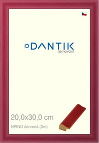 DANTIK rámeček 20x30 | NPINO červená (Sklo Čiré)