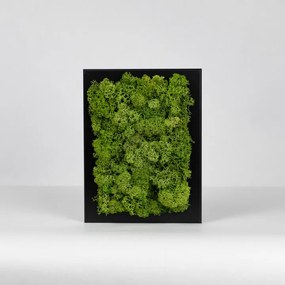 Mechový obraz | 18x13 cm | středně zelený - černý rám