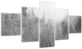 Obraz - Levandule (125x70 cm)