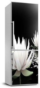 Wallmuralia Foto tapeta na ledničku Květ lotosu 60x180 cm