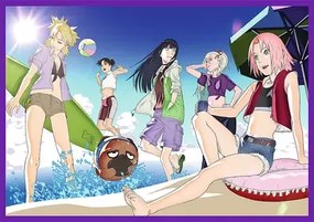TREFL Puzzle Naruto Shippuden: Dobrodružství Naruta Uzumaki / 4x 250 d