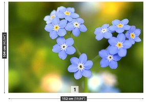 Fototapeta Forget-me-nots Srdce 104x70