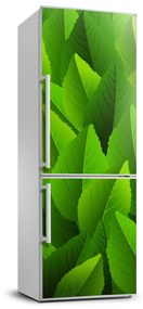 Wallmuralia Fototapeta na ledničku Zelené listí 60x180 cm