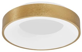 Stropní svítidlo LED se stmíváním Rando Thin 38 3000K zlaté