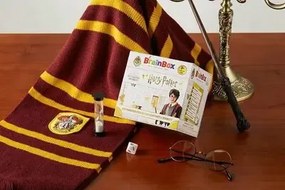 BrainBox - Harry Potter CZ / Délka hry: 10 minut / Počet hráčů: 1+ / o