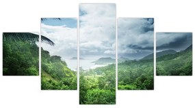 Obraz - Seychelská jungle (125x70 cm)