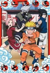 Ravensburger Fandom kolekce: Naruto / 300 dílků / od 6 let