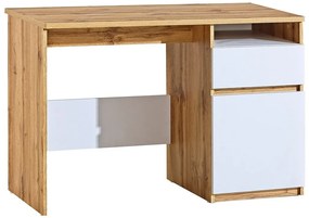 Casarredo - Komfort nábytek Psací stůl ARITZO 07, 1D1S výběr barev | barva: dol-bílá-arktik