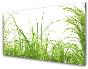 akrylový obraz Tráva Rostlina Příroda 140x70 cm