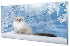 Obraz na skle kočka zima 100x50 cm
