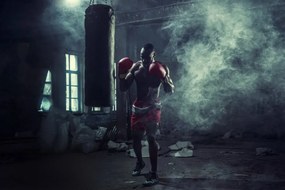 Fototapeta Boxer V Zakouřené Místnosti Samolepící tapety 180x120