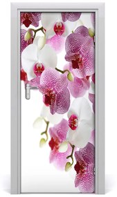 Fototapeta na dveře Orchidej 75x205 cm