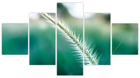 Obraz stébla trávy (125x70 cm)