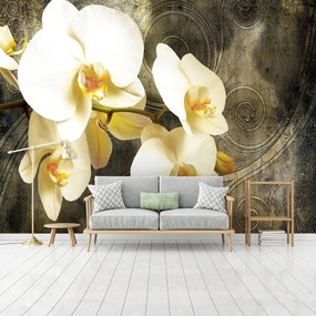 Fototapeta - Orchideje (152,5x104 cm)