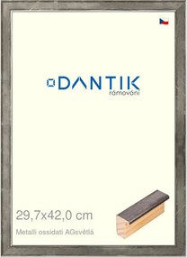 DANTIK rámeček 29,7x42 | Metalli oidati AGsvětlá (Plexi Čiré)
