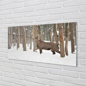 akrylový obraz Jelen zimní les 100x50 cm