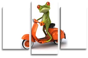 Sablio Obraz - 3-dílný Žába na motorce - 75x50 cm