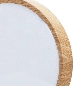 BRILAGI - LED Stropní svítidlo NATURA LED/20W/230V 4000K pr. 33,7 cm
