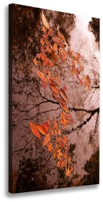 Wallmuralia Vertikální Foto obraz na plátně Podzimní listí 50x100