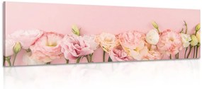 Obraz pastelové květoucí květiny Varianta: 120x40