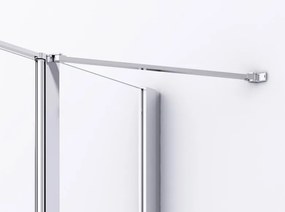 Sanswiss DIVERA D22T13+D22F1 sprchový kout obdélníkový 160x100 cm Profil: Aluchrom, Sklo: Hladké čiré, Rozměr: 160x100 cm