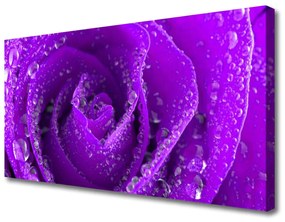 Obraz na plátně Růže Květ 120x60 cm