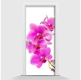 Samolepící fototapeta - Orchidej růžová 70 x 210cm