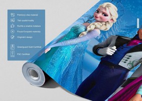 Dětská vliesová fototapeta na zed' Ledové království Všichni přátelé, Disney | 202 x 90 cm | DFTDNH 5384