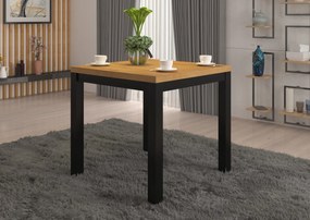 Konferenční stolek OLAF 1 80x80 Artisan matná čená