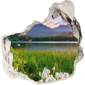 Wallmuralia Díra 3D ve zdi na stěnu Jezero v horách 75x75 cm