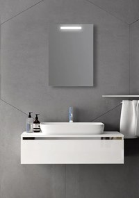 AMIRRO Zrcadlo do koupelny na zeď chodbu do pokoje ložnice předsíně s LED podsvícením  LUNA - 50 x 70 cm s podsvíceným pruhem 900-919