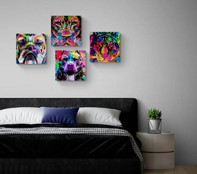 Set obrazů v zajímavém pop art stylu Varianta: 4x 40x40