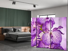 Paraván fialová orchidej Rozměr: 225 x 180 cm