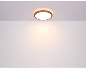 Globo 41765-12 - LED Stropní svítidlo SAMMI LED/12W/230V 3000/4500/6000K