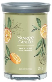 Yankee Candle Tumbler velký Sage & Citrus, 567g