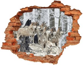 Wallmuralia Díra 3D fototapeta nástěnná Nálepka vlci zimou 90x70 cm
