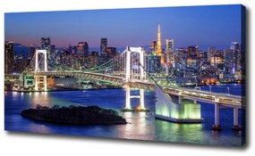 Wallmuralia Foto obraz na plátně do obýváku Most v Tokio 100x50