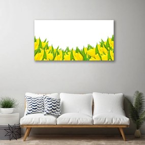 Obraz na plátně Květiny Příroda Tulipány 140x70 cm