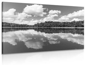 Obraz příroda v letním období v černobílém provedení - 120x80 cm