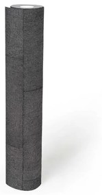 A.S. Création | Vliesová tapeta na zeď Titanium 3 38201-6 | 0,53 x 10,05 m | metalická, šedá