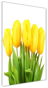 Wallmuralia Vertikální Foto obraz fotografie na skle Žluté tulipány 50x100