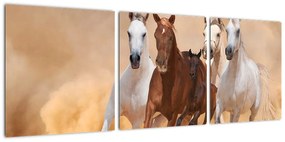 Obrazy běžících koní
